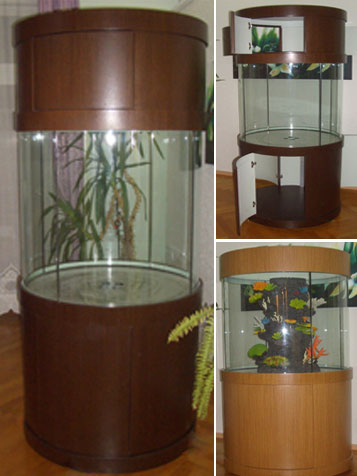 Rundaquarium - Meduza6